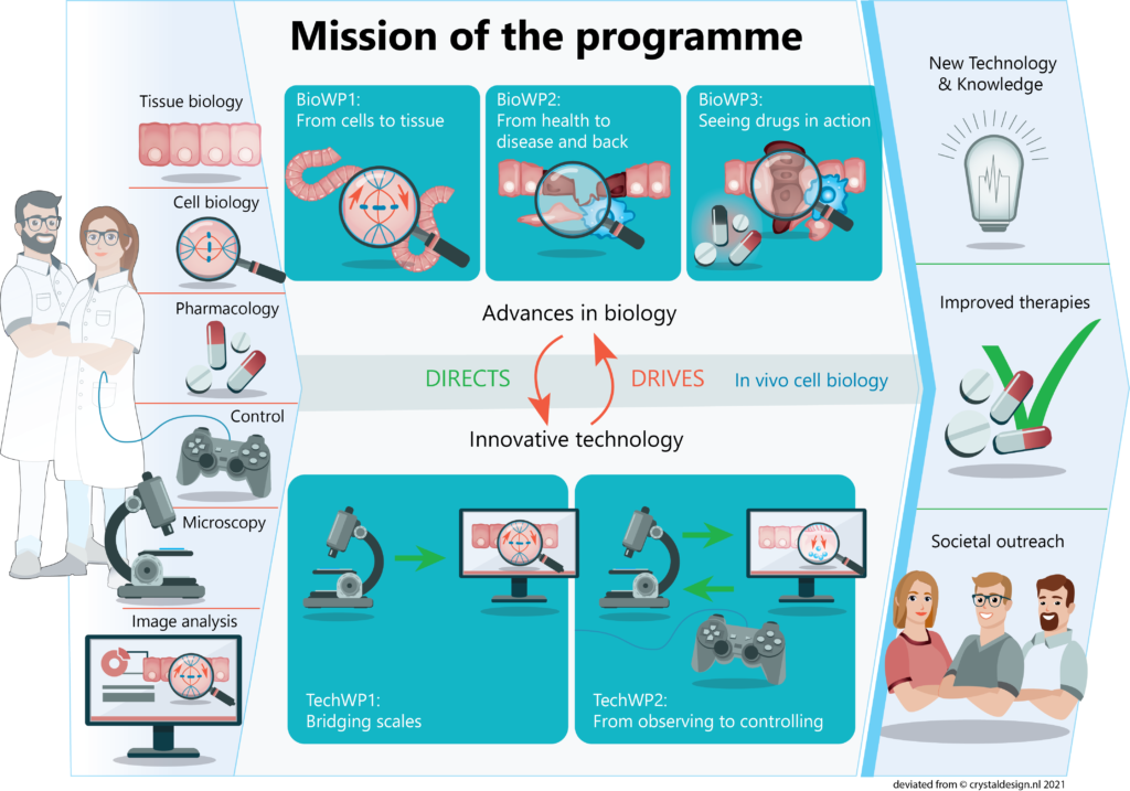 IMAGINE! - Innovative Imaging for 3D Cell Biology